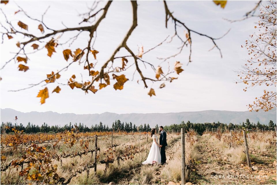 Montpellier Wedding | Roman & Cindy