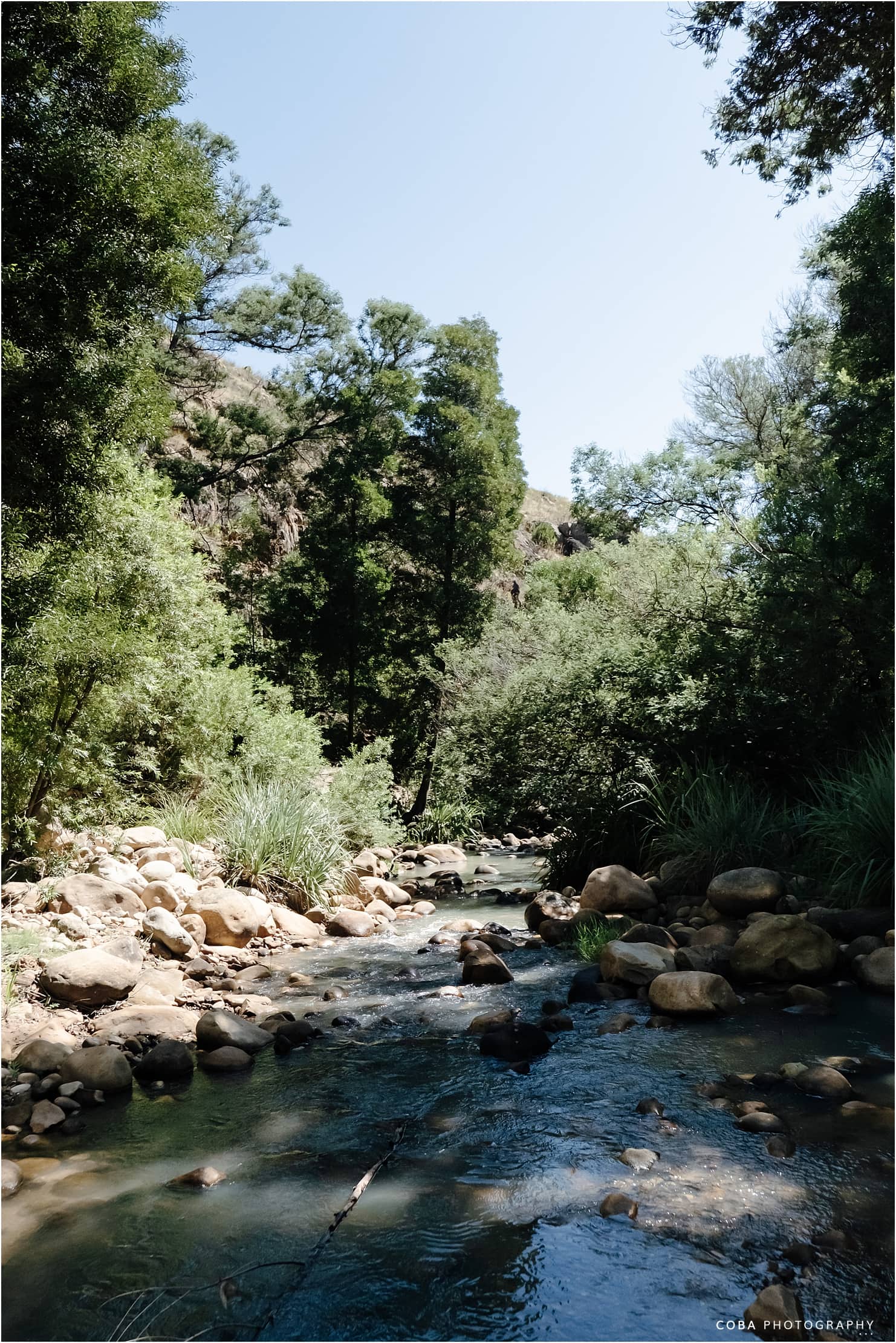 Jamaka Farm Wedding | Cederberg | Andrew & Caitlyne