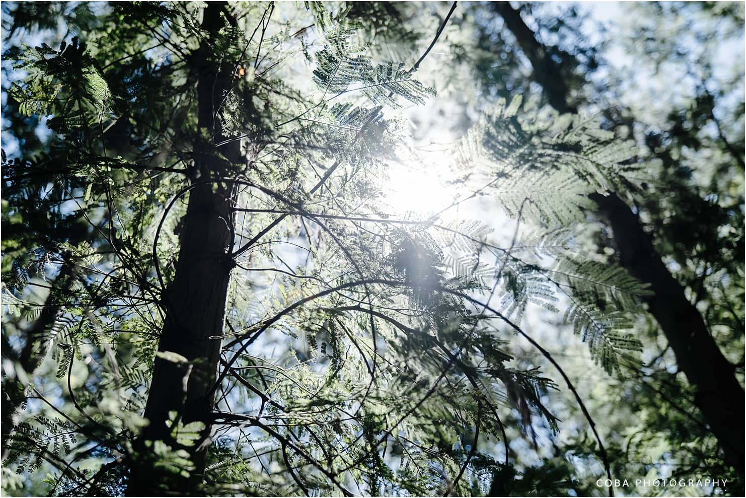Jamaka Farm Wedding | Cederberg | Andrew & Caitlyne