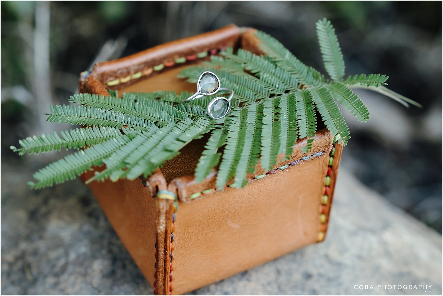 Jamaka Farm Wedding | Cederberg | Andrew & Caitlyne